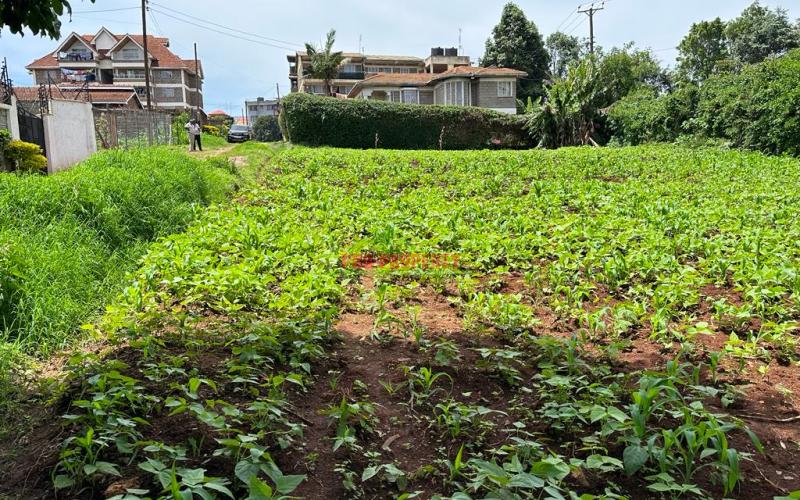 Prime Commercial Plot in Kikuyu Town. | Property in Kenya - Rent and ...